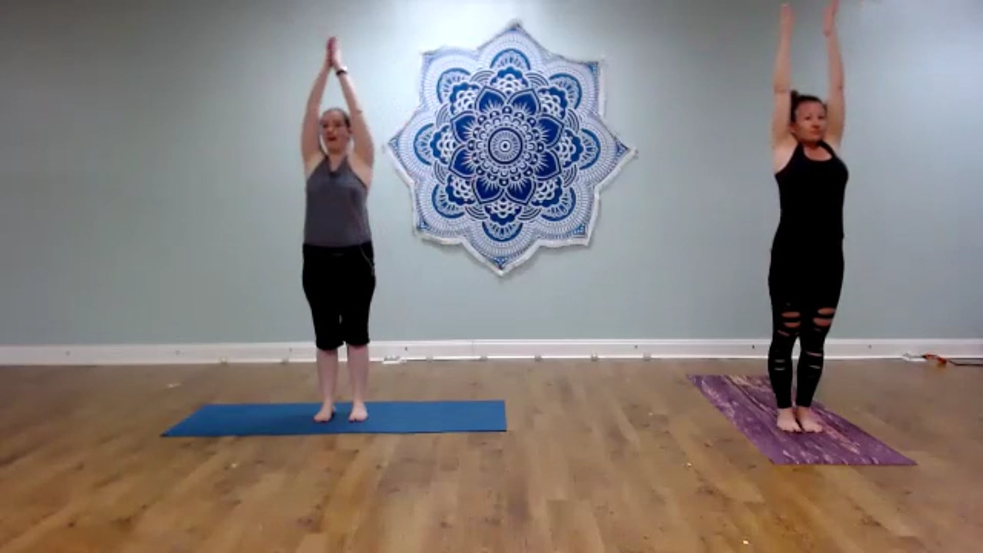 Gentle Yoga with Emily - Performance Power Yoga